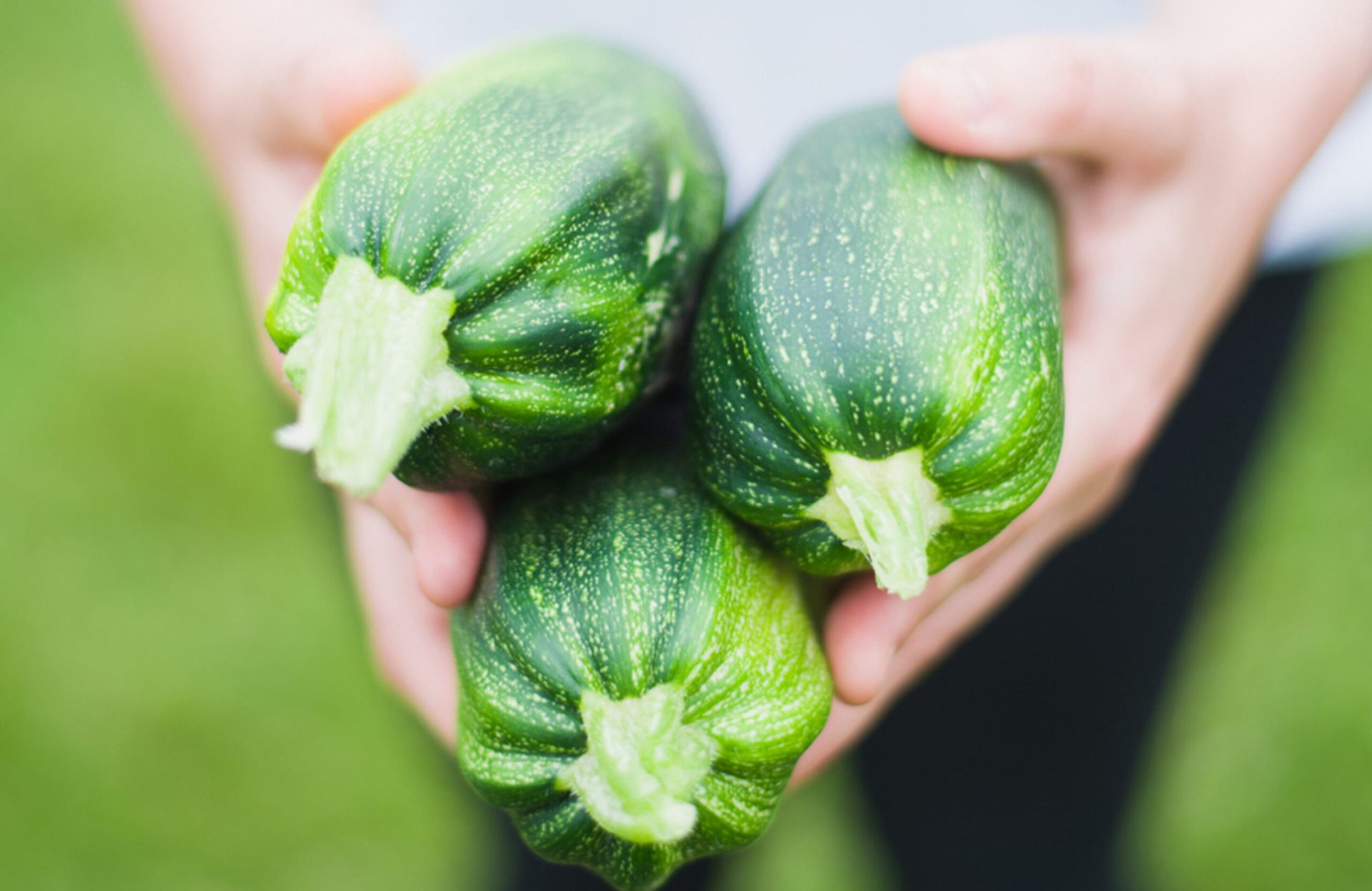 10 Facts You Might Not Know About Zucchini – P&T Valley Farms
